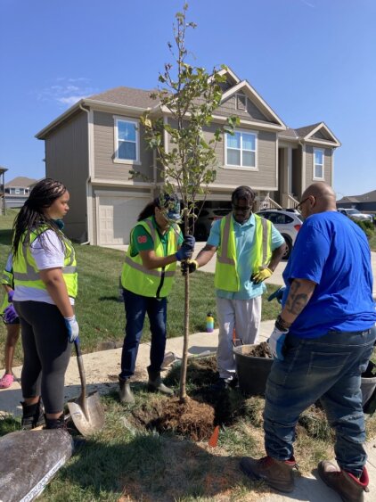Heartland Tree Alliance - Tree Planting in Countryside Neighborhood ...